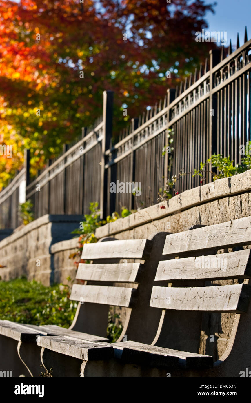A couple of park benches, in front of a black fence and some vibrant ...