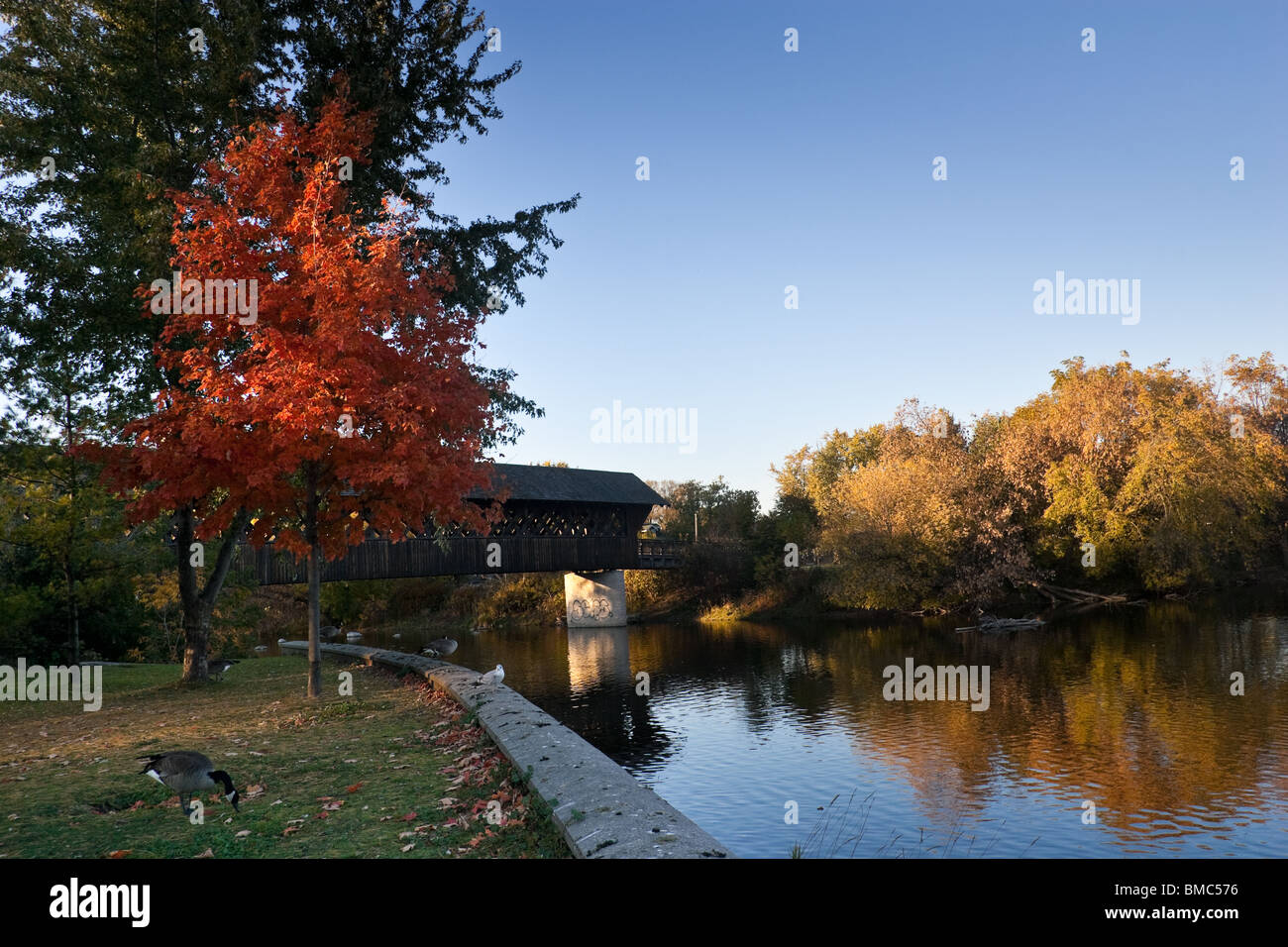 The speed river guelph hi-res stock photography and images - Alamy