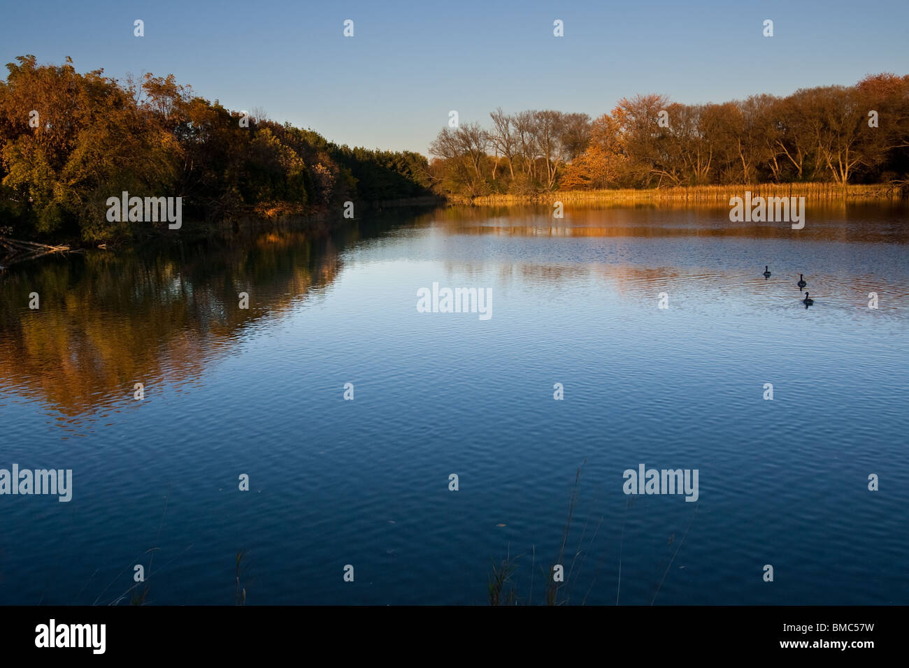 The Speed River Guelph High Resolution Stock Photography and Images - Alamy