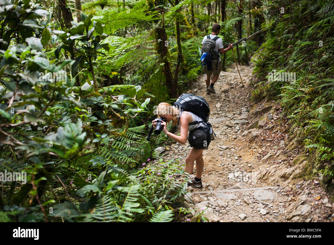 Hikers on the Mt Kinabalu summit trail. Kinabalu National Park, Sabah ...