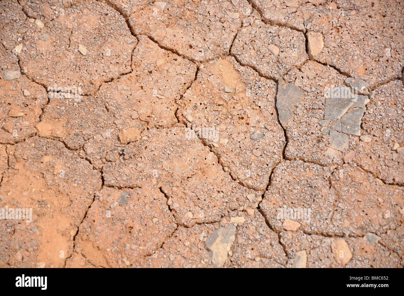 Cracked soil, USA Stock Photo - Alamy