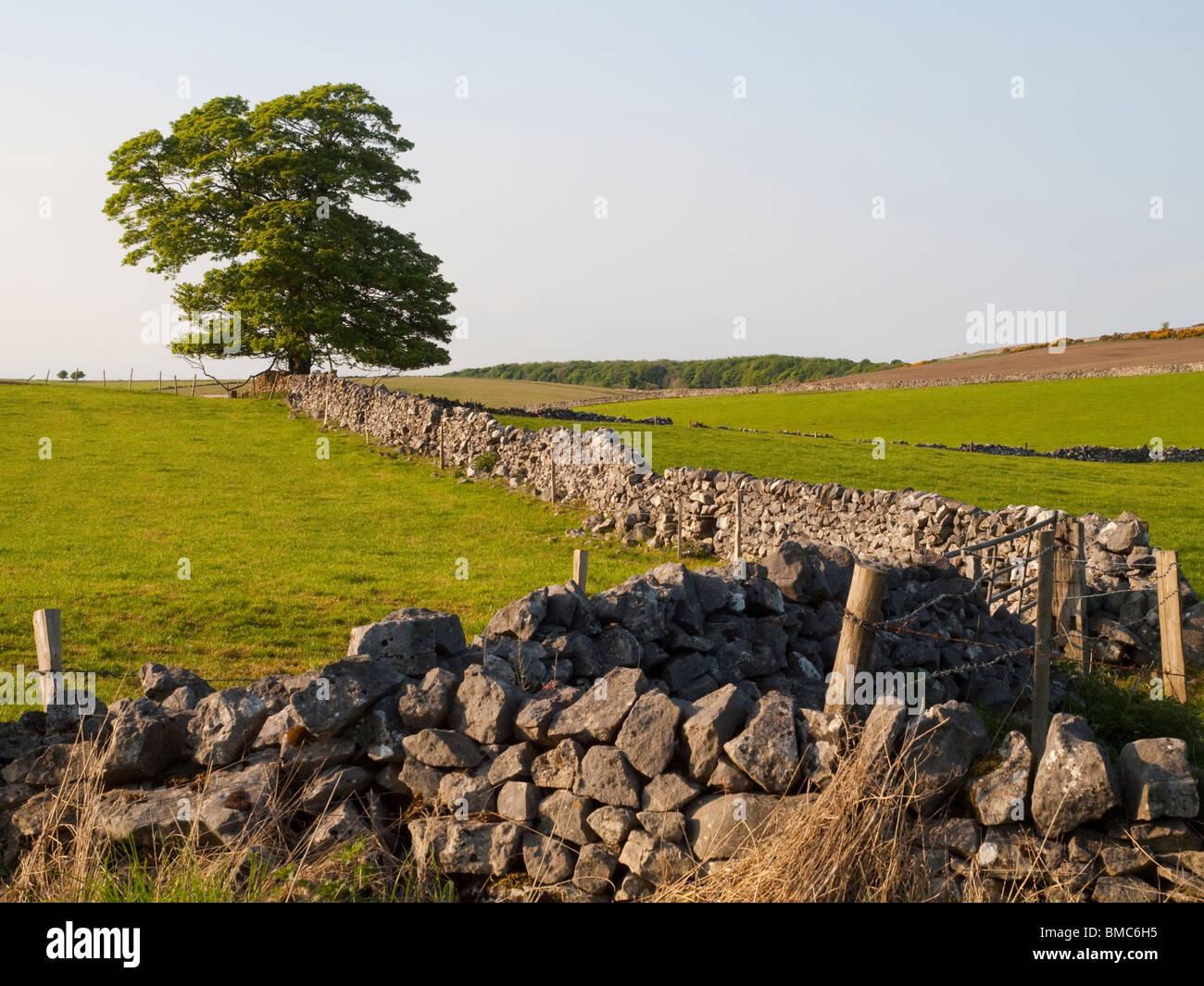 Hulme end hi-res stock photography and images - Alamy