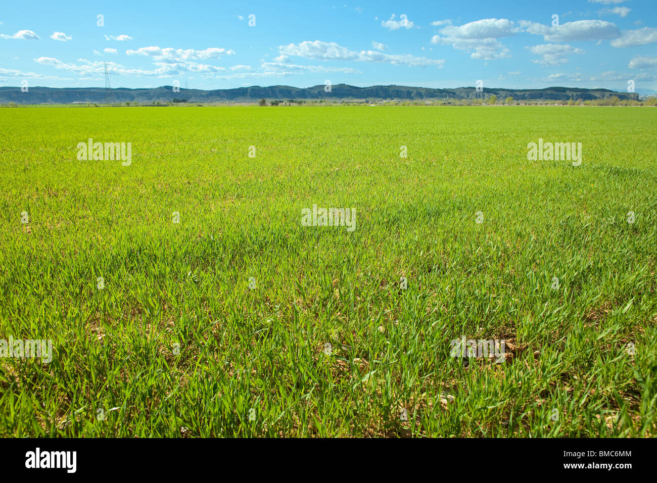 Agriculture extension hi-res stock photography and images - Alamy