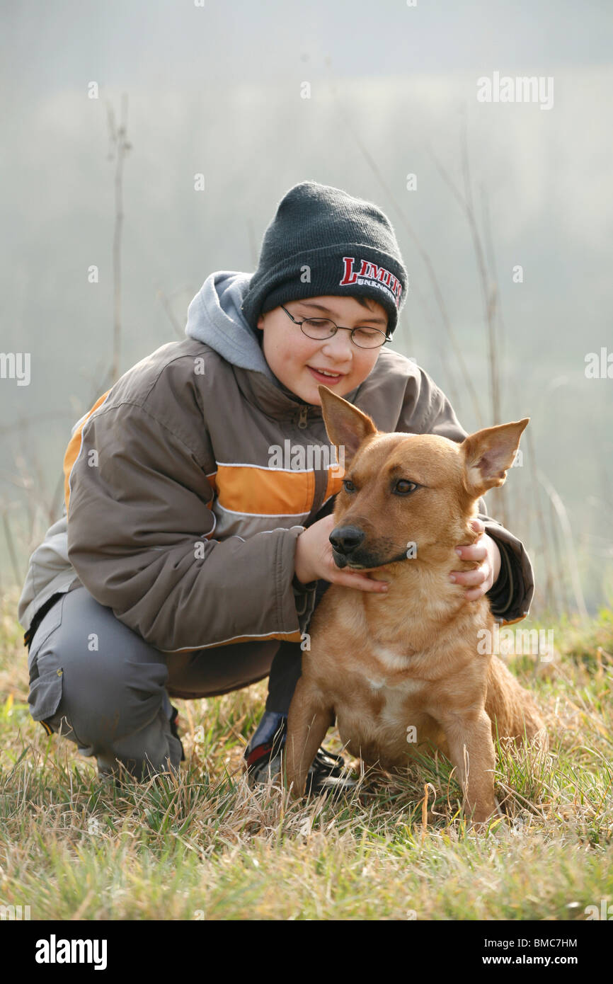 Mischling / dog Stock Photo - Alamy