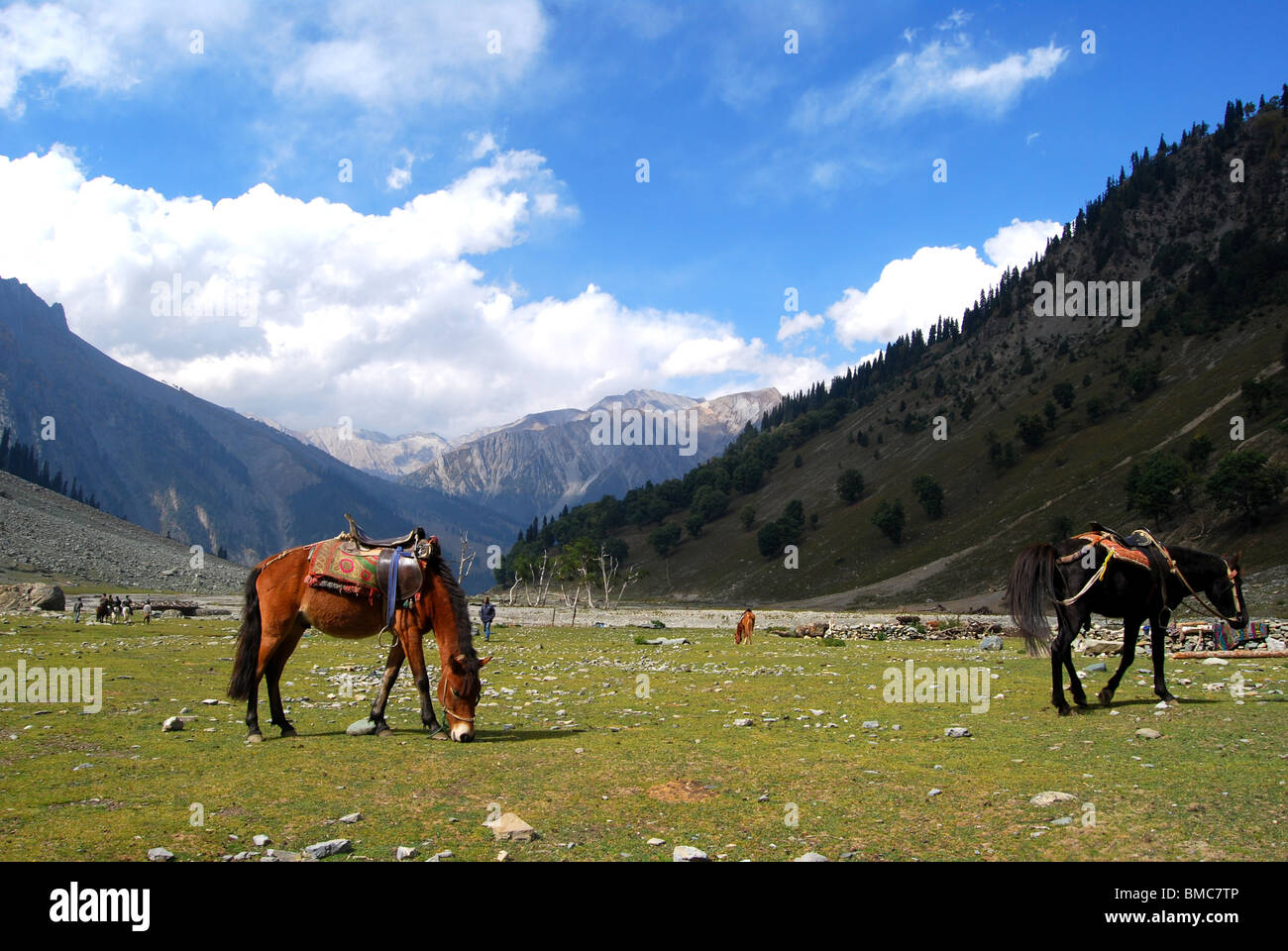 Vally hi-res stock photography and images - Alamy