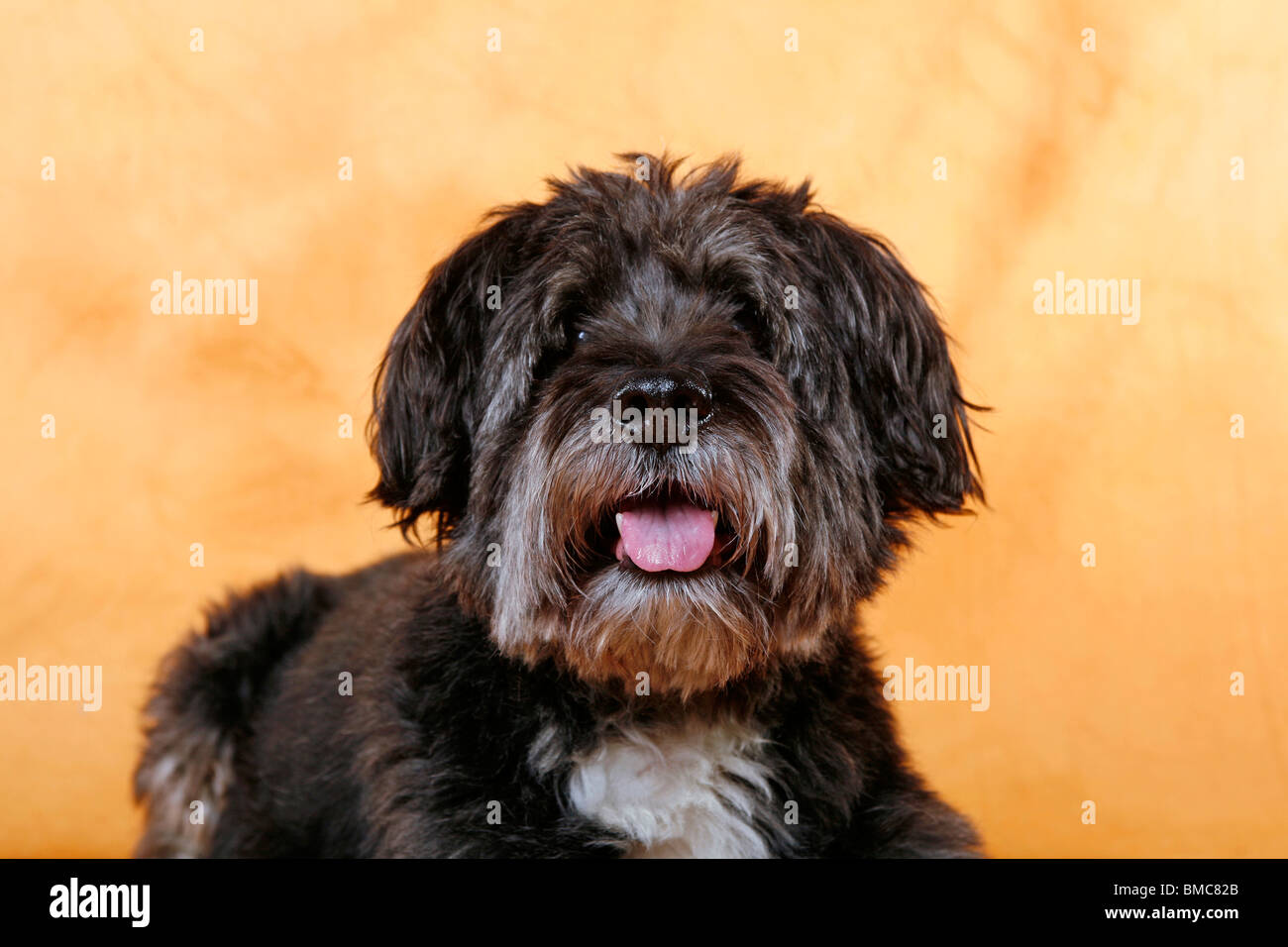 10495 hi-res stock photography and images - Alamy