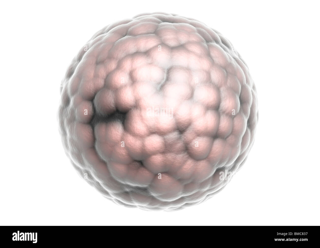 Alien egg hi-res stock photography and images - Alamy