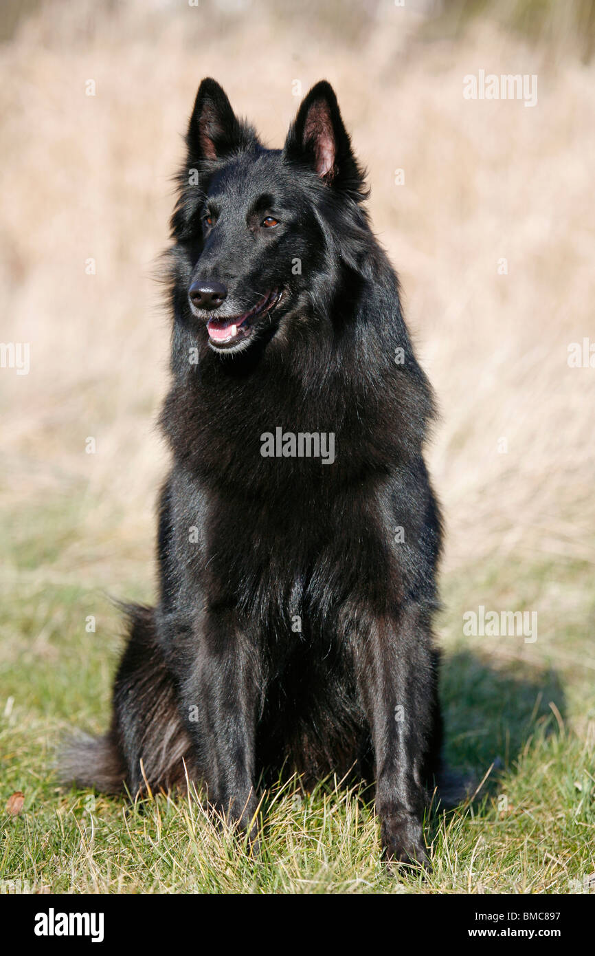 10537 hi-res stock photography and images - Alamy