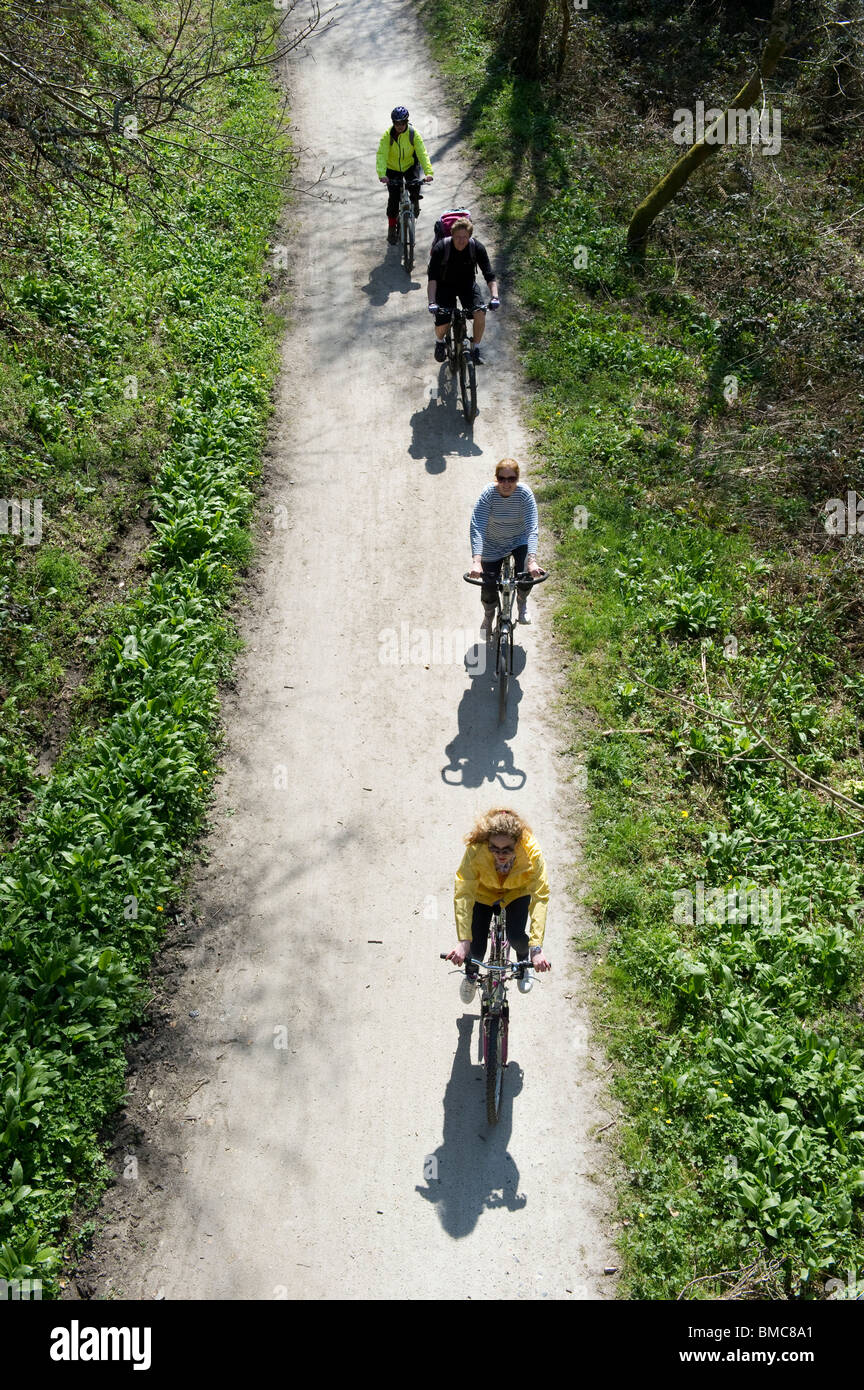 The Camel cycle path follows the river in Cornwall down to the Bristol ...