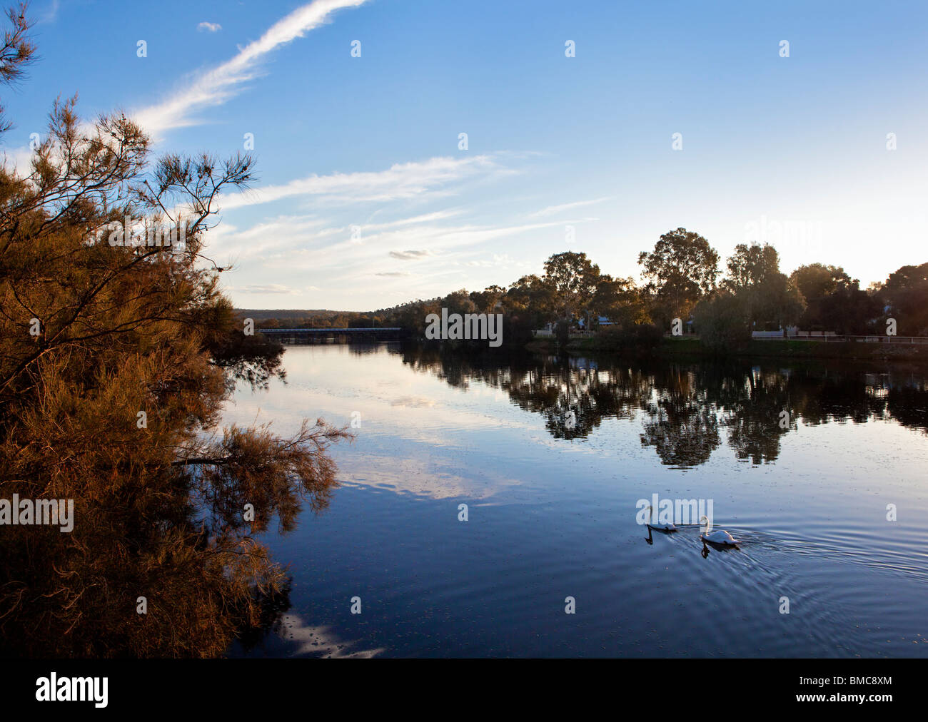 Avon river western australia hi-res stock photography and images - Alamy