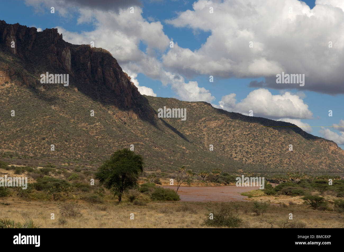 Ewaso Ngiro River, Shaba National Reserve, Kenya Stock Photo - Alamy