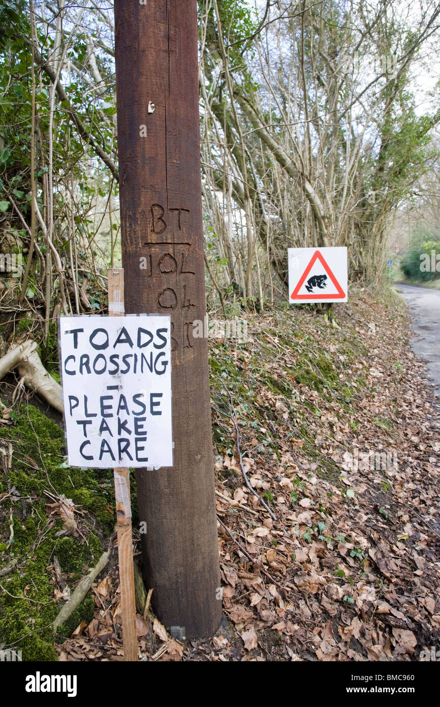 A road sign warning of toads crossing, Surrey, England Stock Photo - Alamy