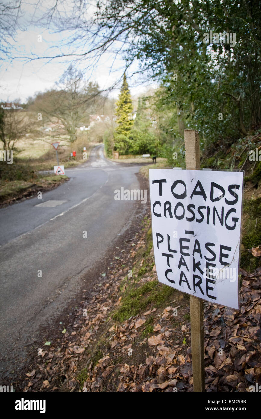 Toads crossing warning road sign hi-res stock photography and images ...