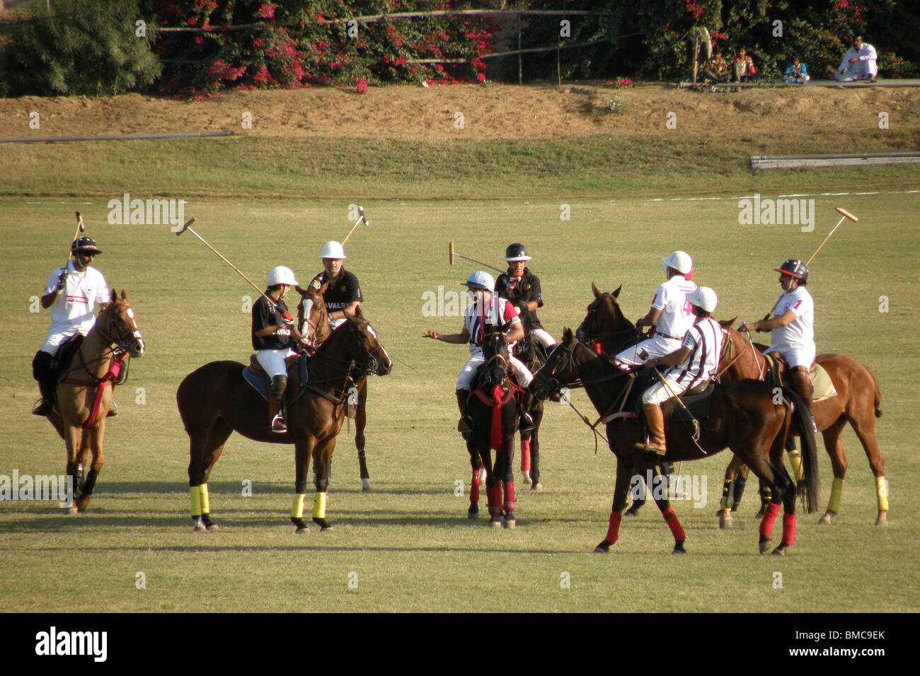 Polo match, Jaipur, Rajasthan, India Stock Photo - Alamy