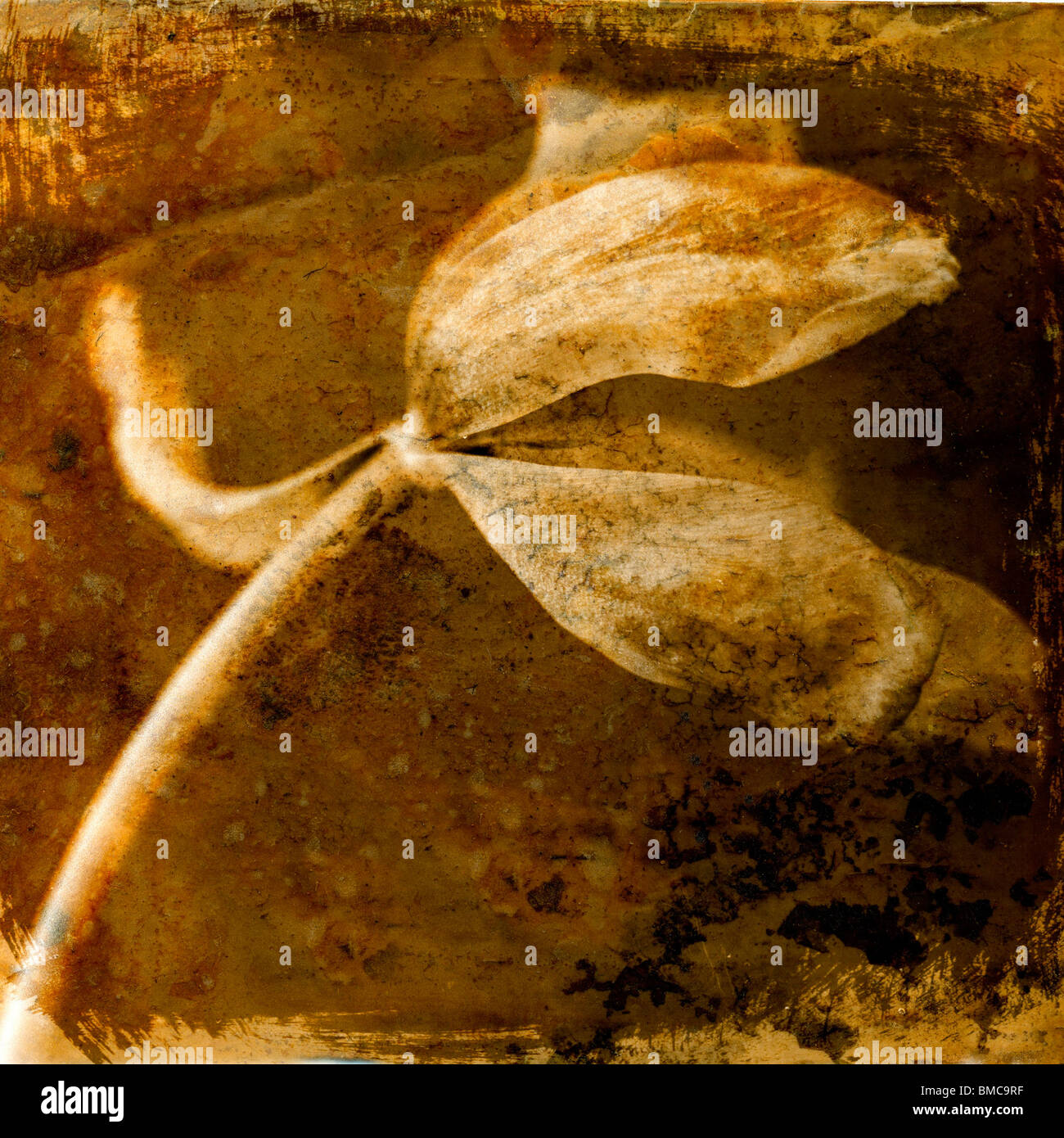 Textured effect hi-res stock photography and images - Alamy