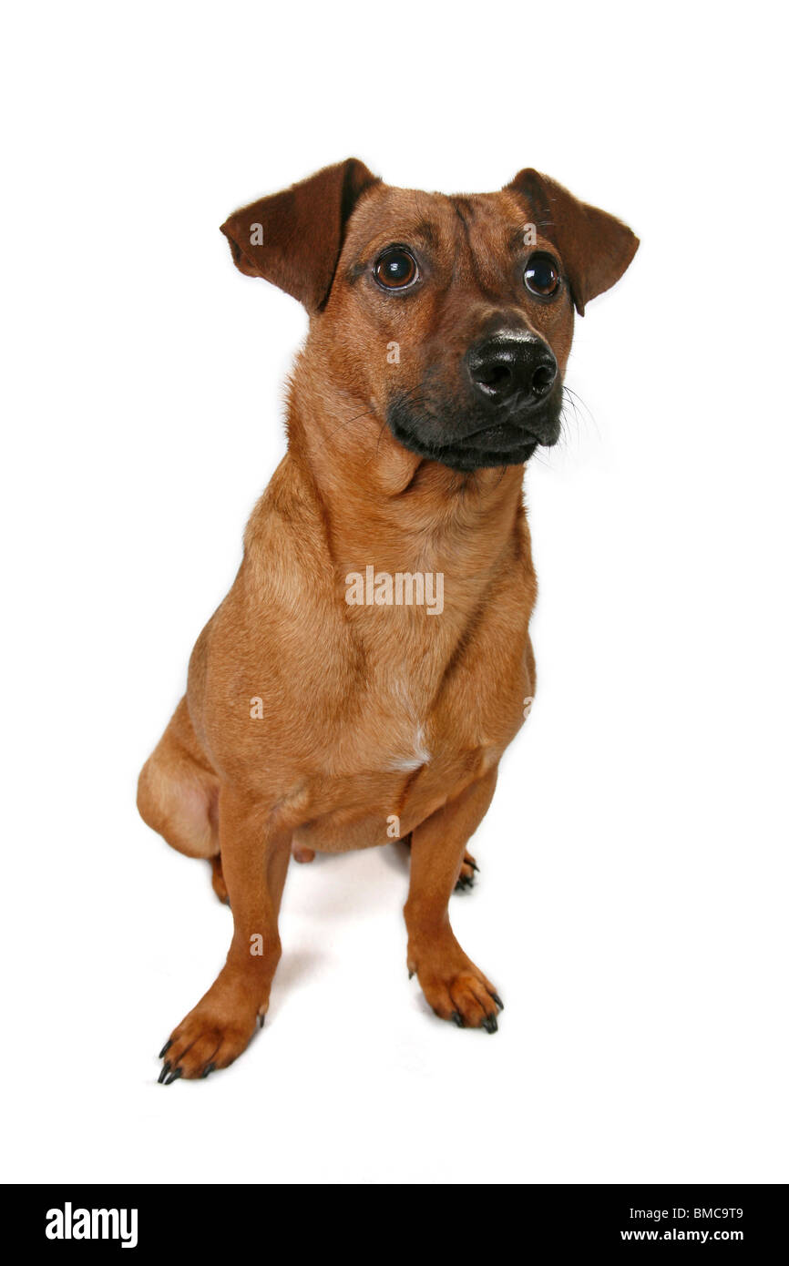 10833 Cut Out Stock Images & Pictures - Alamy