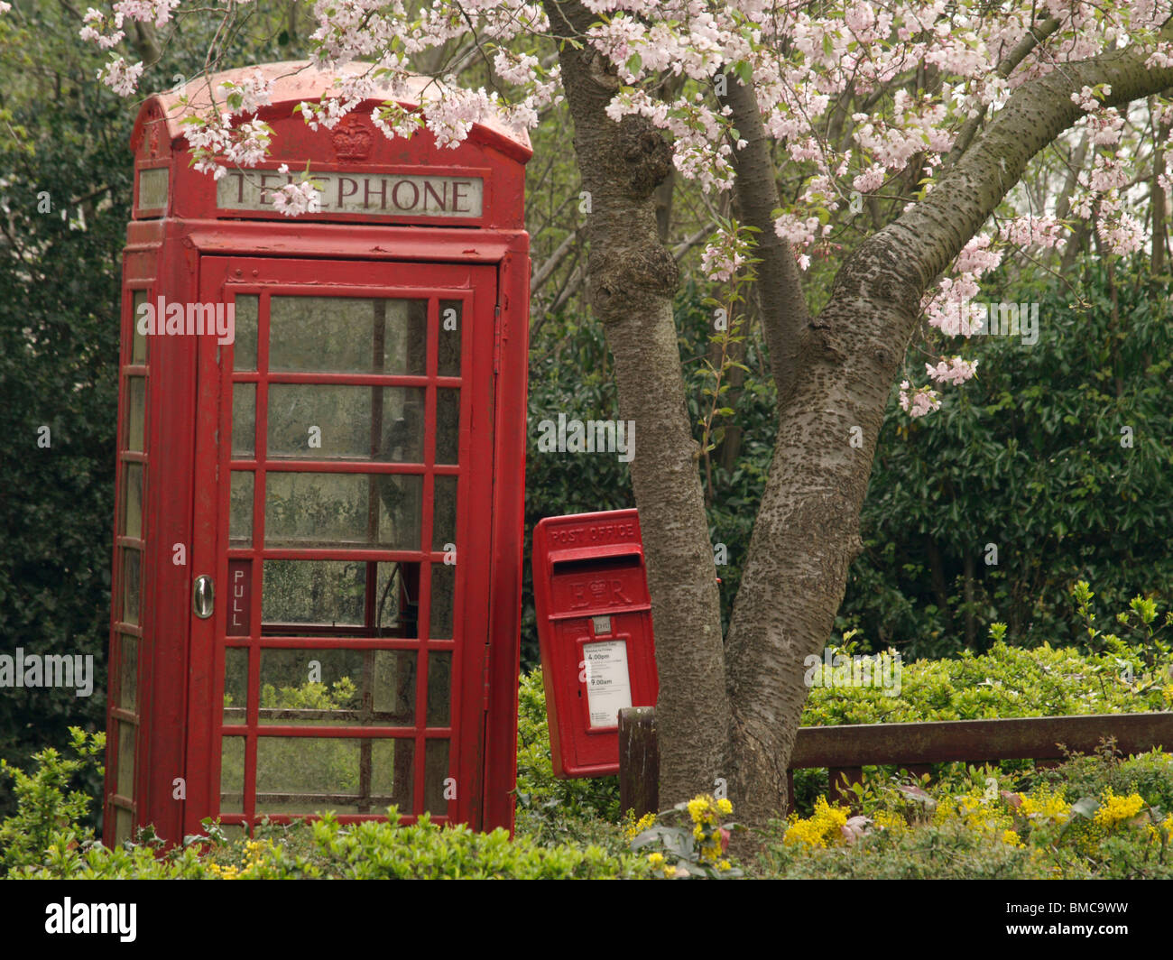 An old red phone box and post box under cherry tree blossom Stock Photo ...