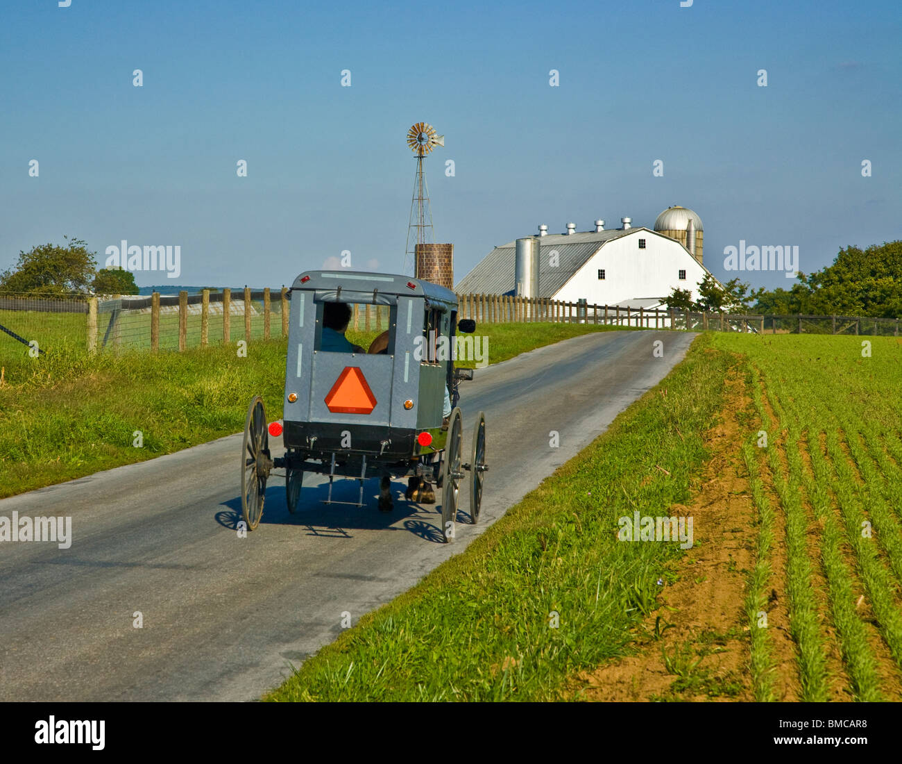 Vintage transportation, Amish buggy horse drawn carriage on a rural ...