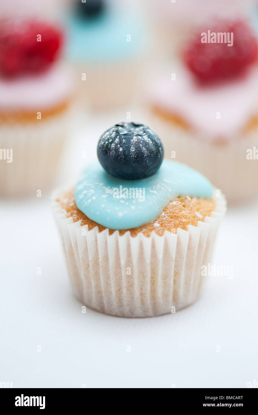 Colourful blueberry and raspberry mini fruit cupcakes on a white ...