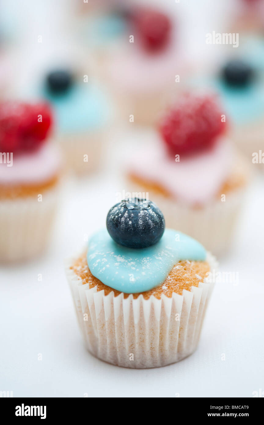 Colourful blueberry and raspberry mini fruit cupcakes on a white ...