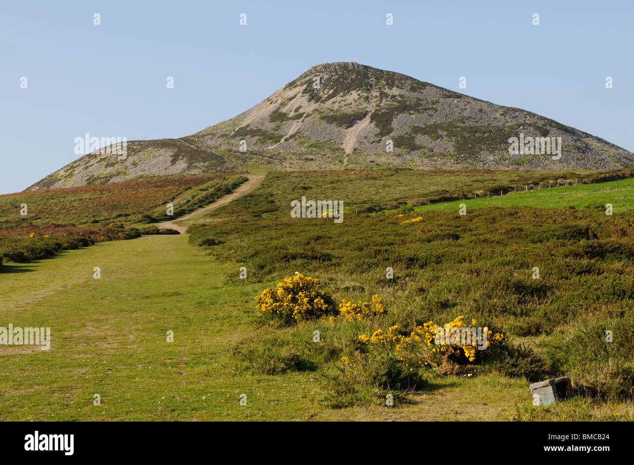 The Great Sugar Loaf Mountain south of Dublin in the Wicklow Mountains ...