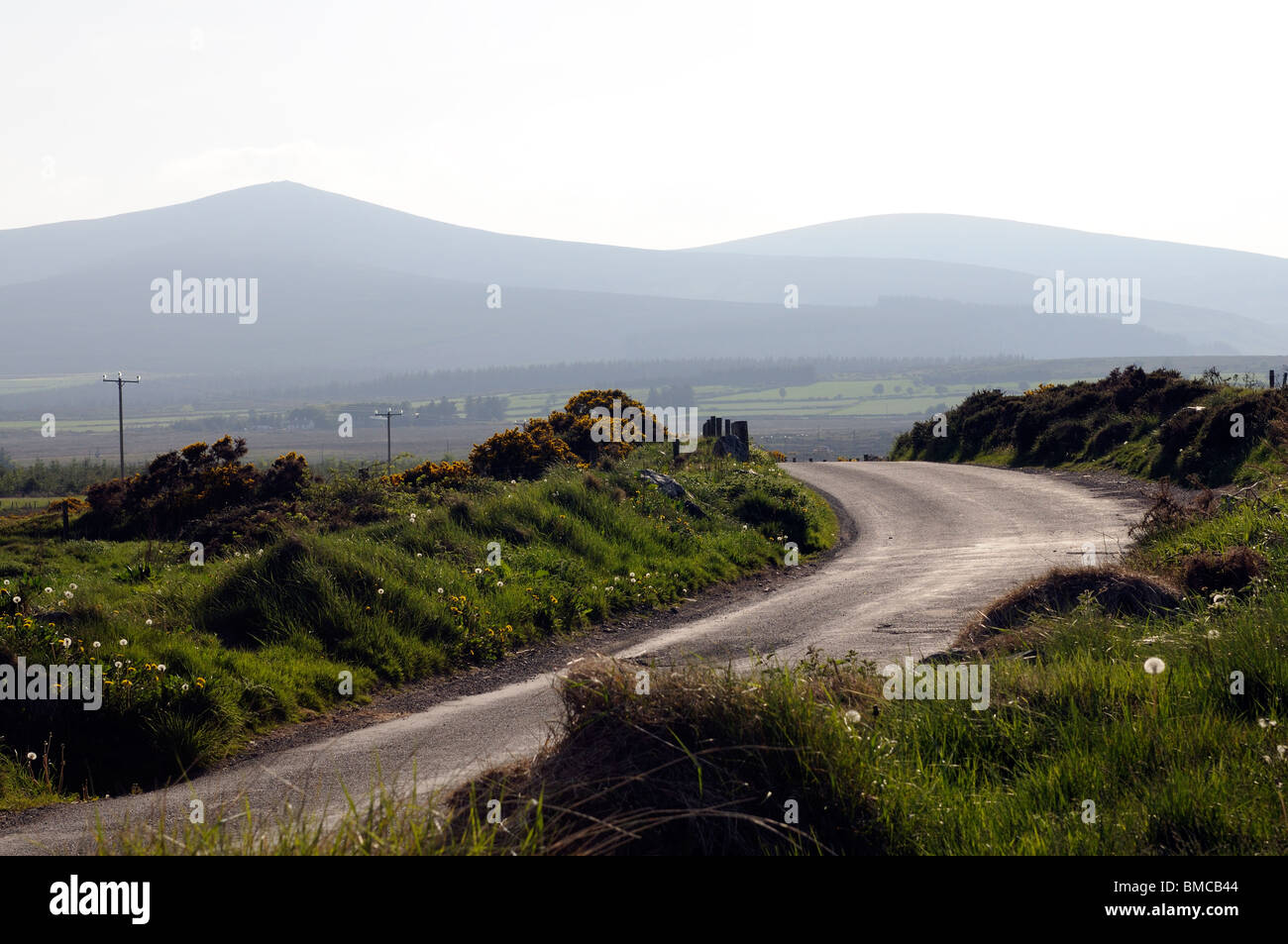 Irish country road hi-res stock photography and images - Alamy