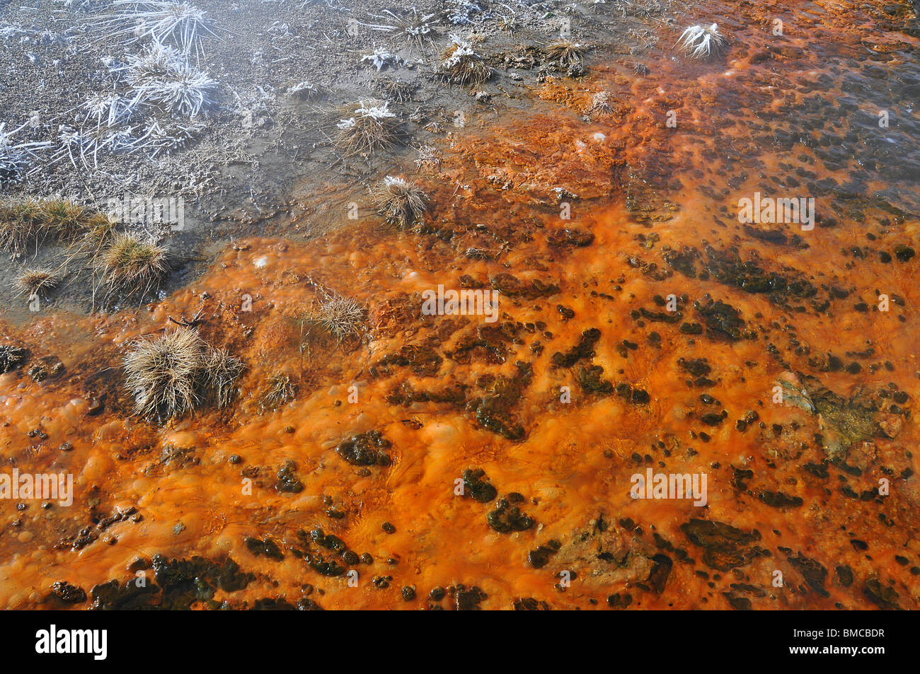 Orange Pool in Yellowstone Stock Photo - Alamy