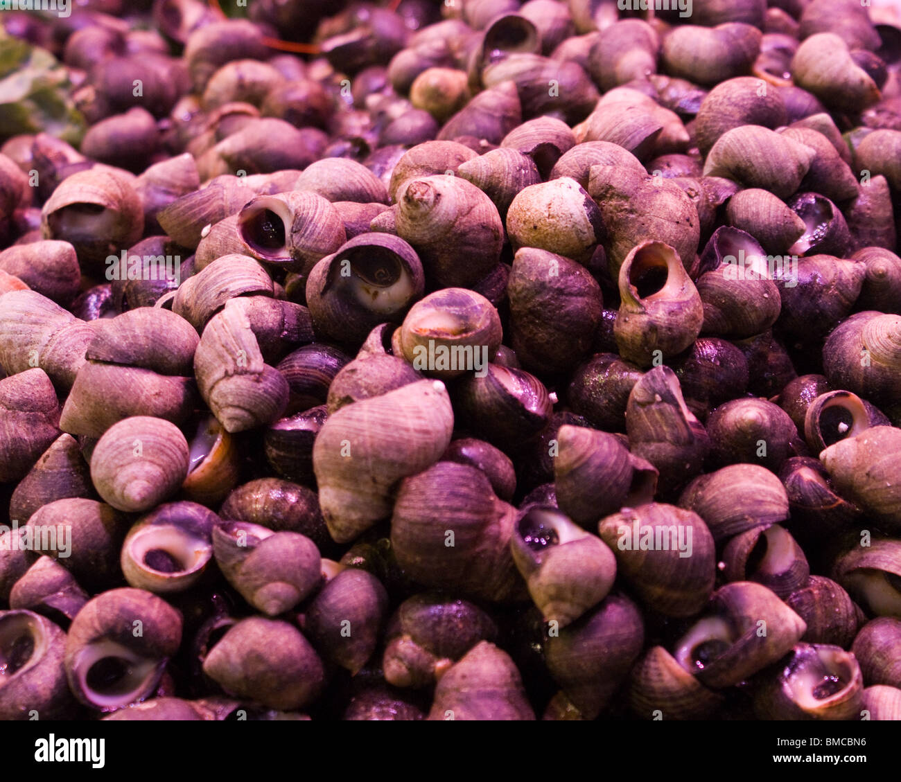 Shellfish shell fish stall hi-res stock photography and images - Alamy
