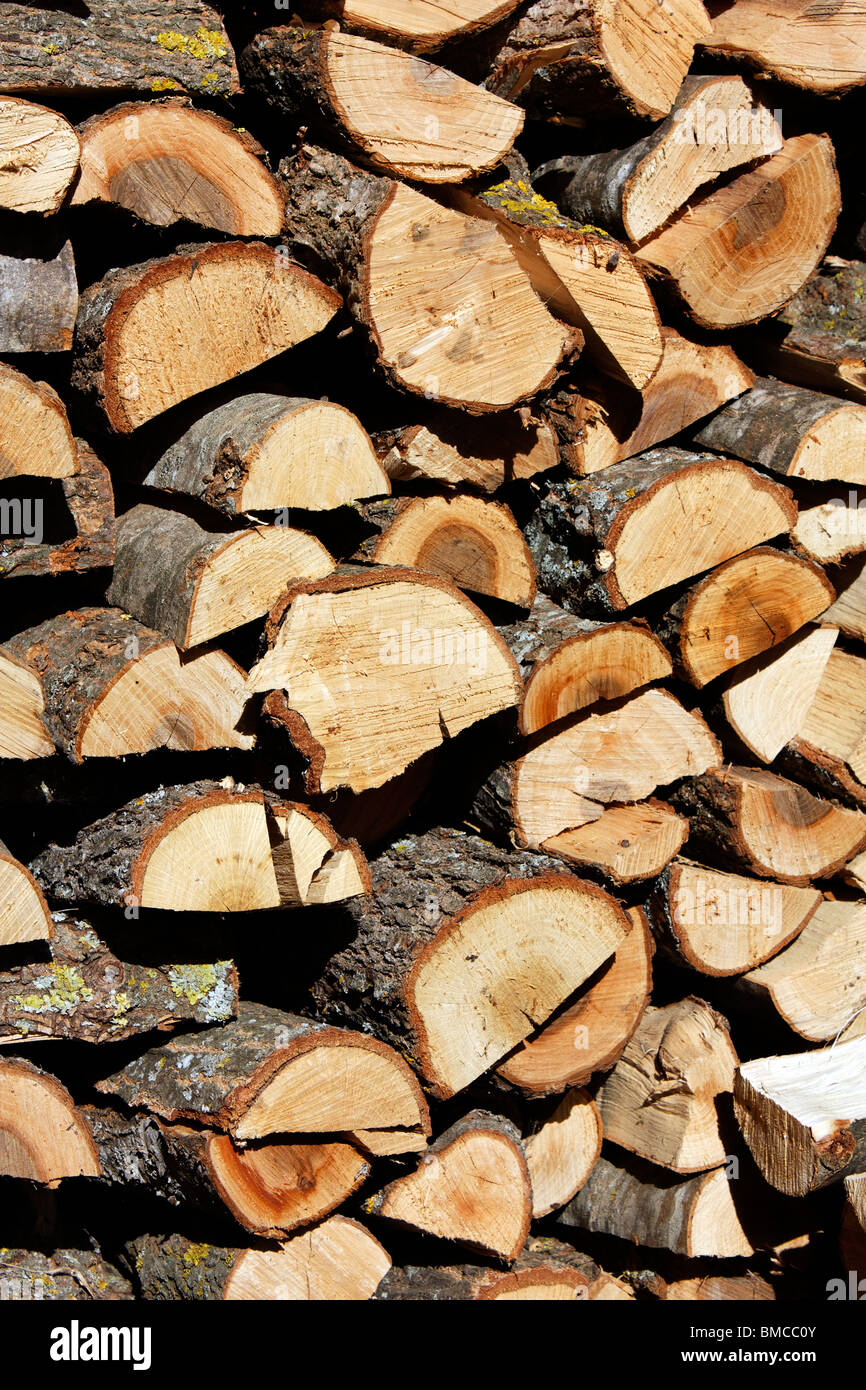 Concept image of wood logs as renewable source of energy Stock Photo ...