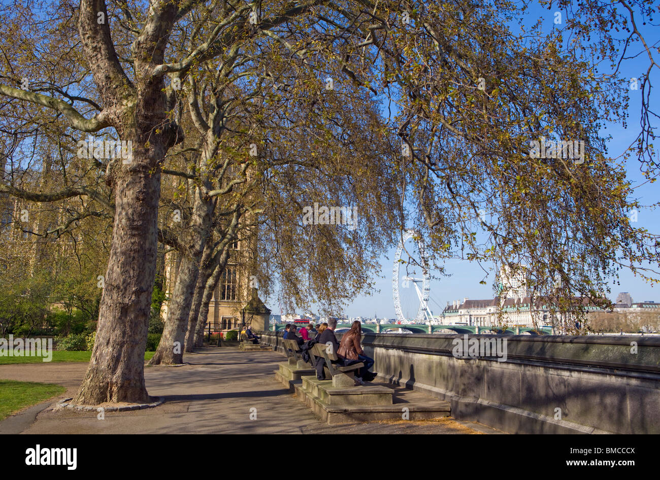 THAMES EMBANKMENT AT WESTMINSTER PALACE LONDON Stock Photo - Alamy