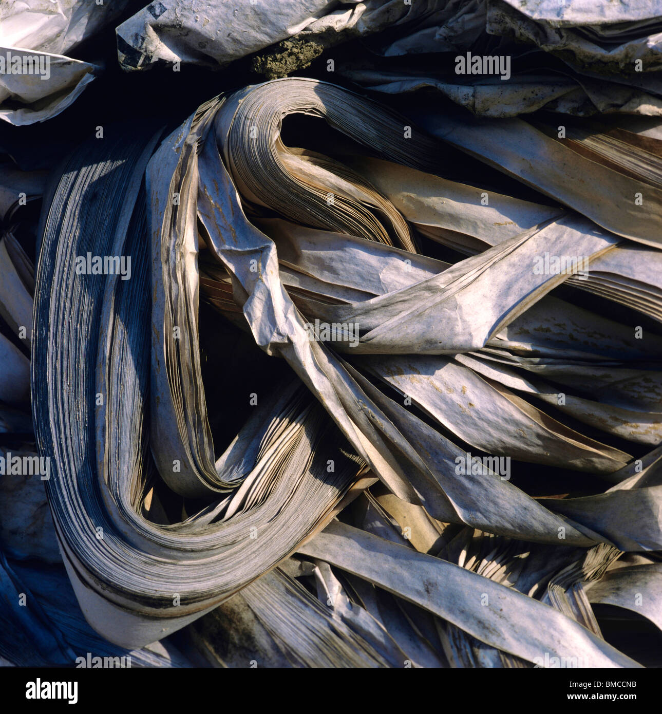 Creative arrangement of bound paper materials displayed in an artistic ...