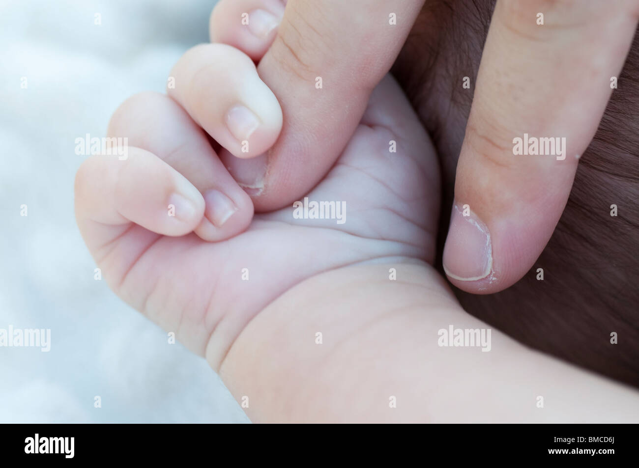 New born hand Stock Photo - Alamy
