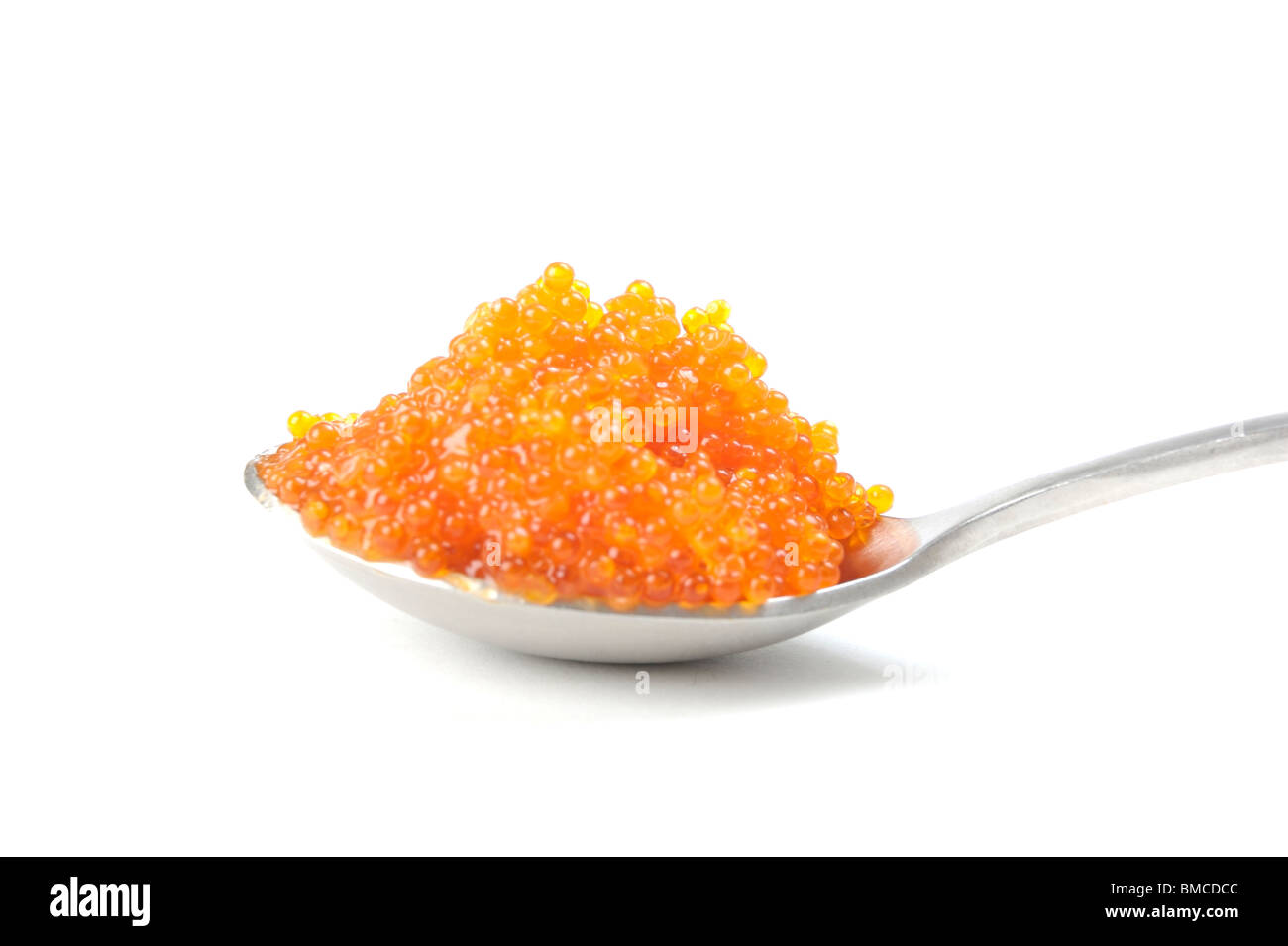 Lumpfish hi-res stock photography and images - Alamy
