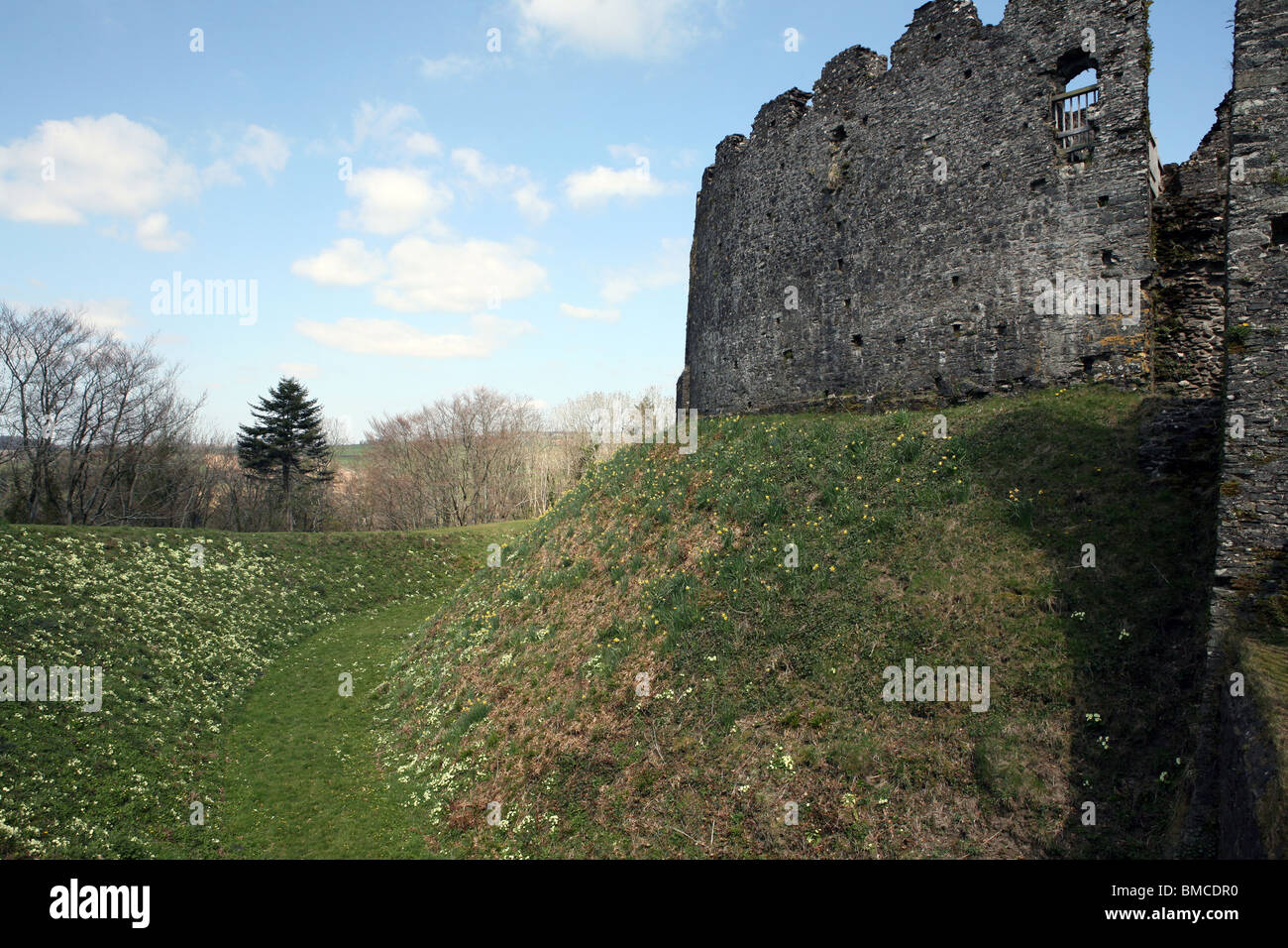 Restormel Castle Cornwall England Stock Photo - Alamy