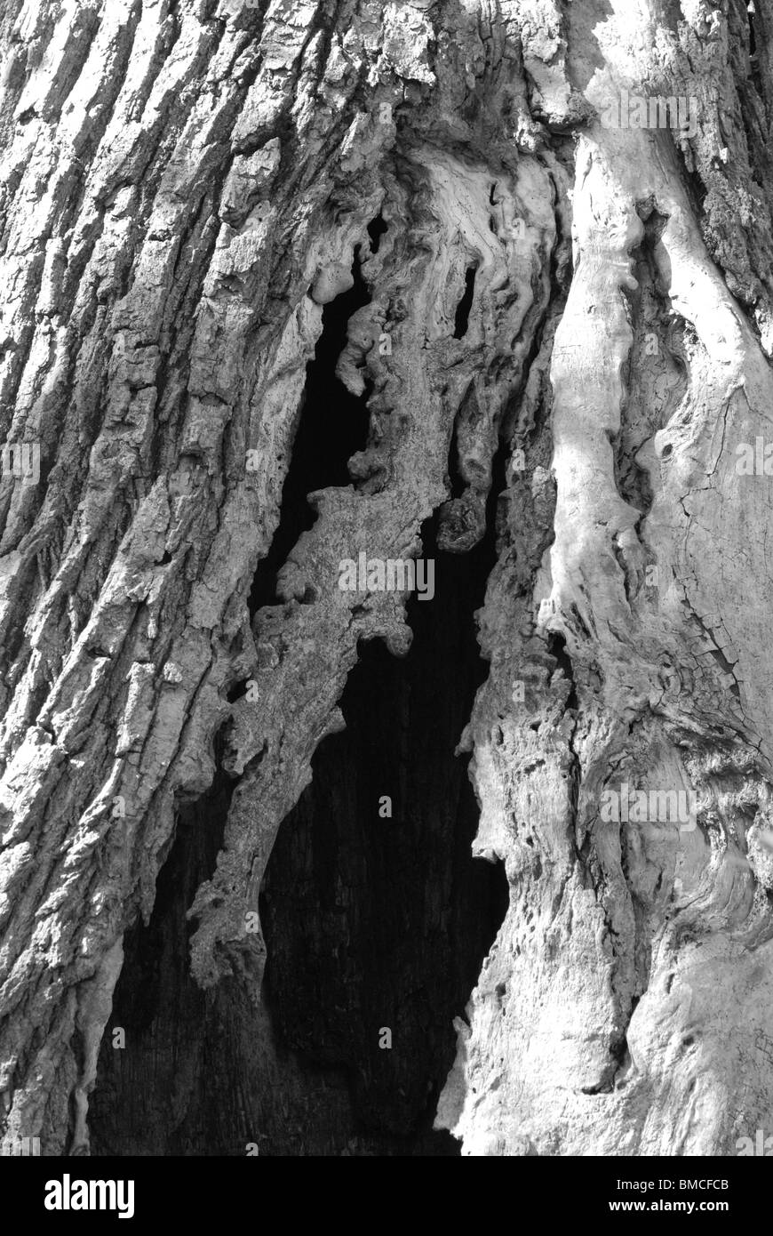 Hallowed hi-res stock photography and images - Alamy