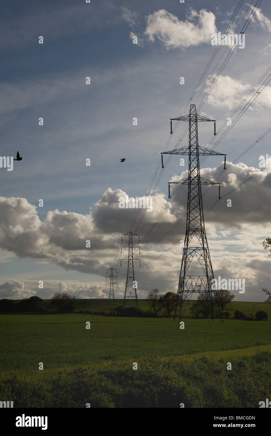 Birds and pylons hi-res stock photography and images - Alamy