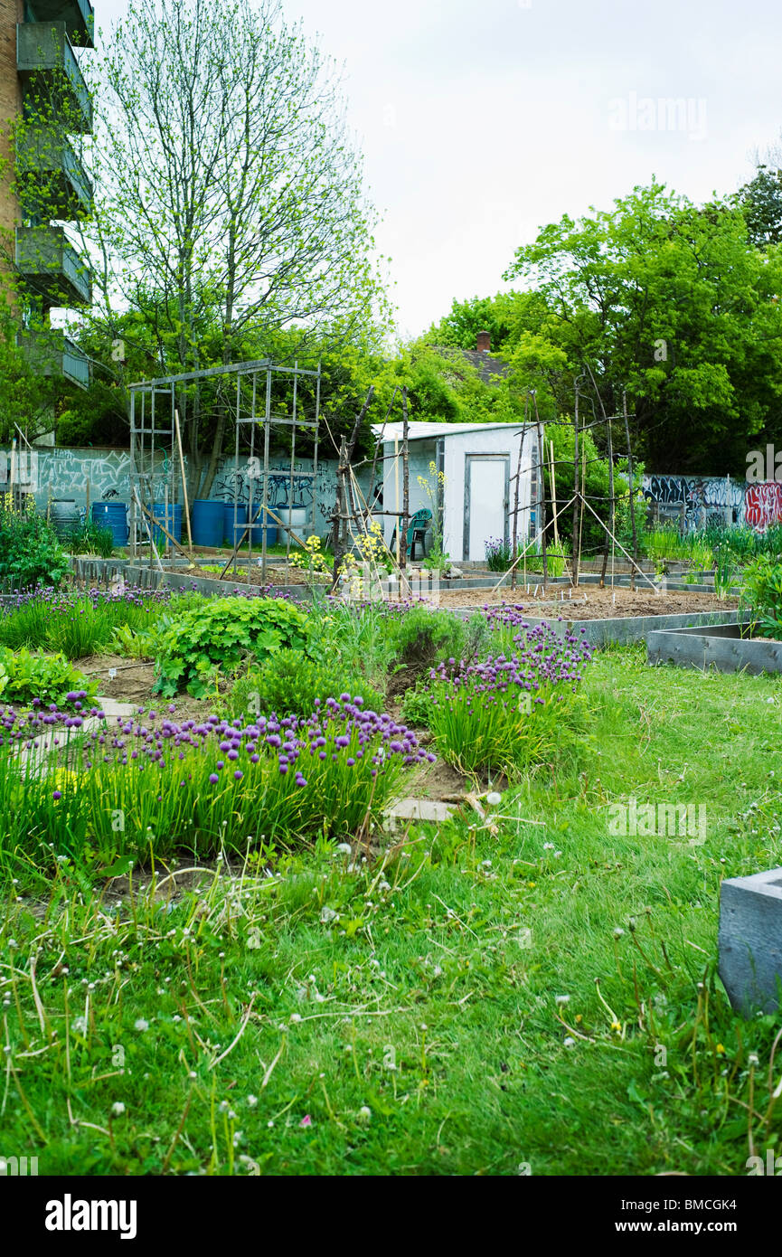 Urban garden plots Stock Photo - Alamy