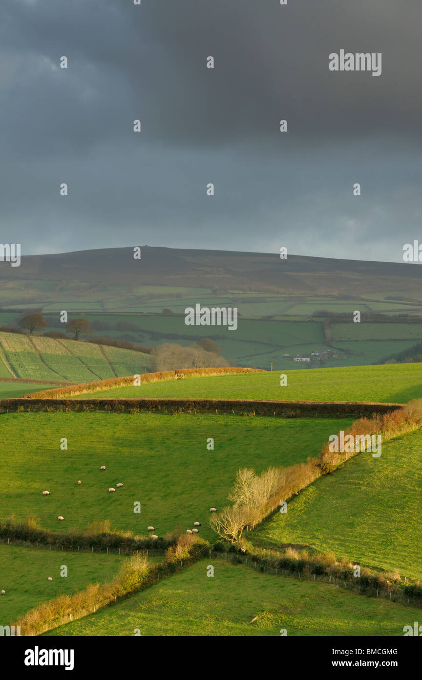Exmoor dunkery beacon hi-res stock photography and images - Alamy
