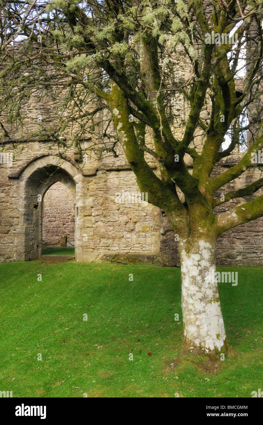 Inchmahome Priory - Scotland Stock Photo - Alamy