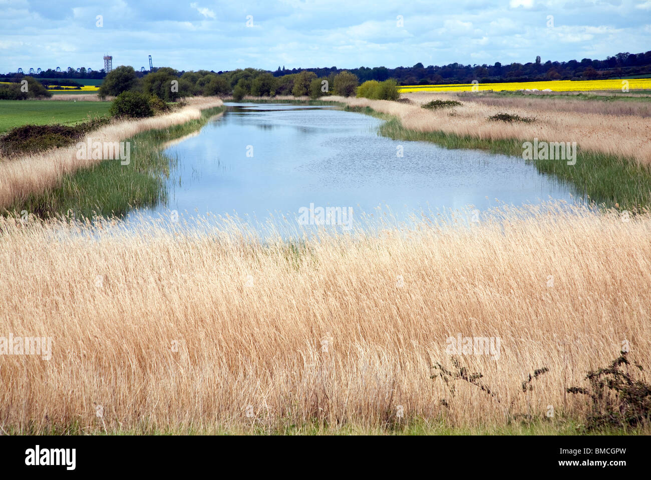 King's Fleet, near Felixstowe, Suffolk Stock Photo - Alamy