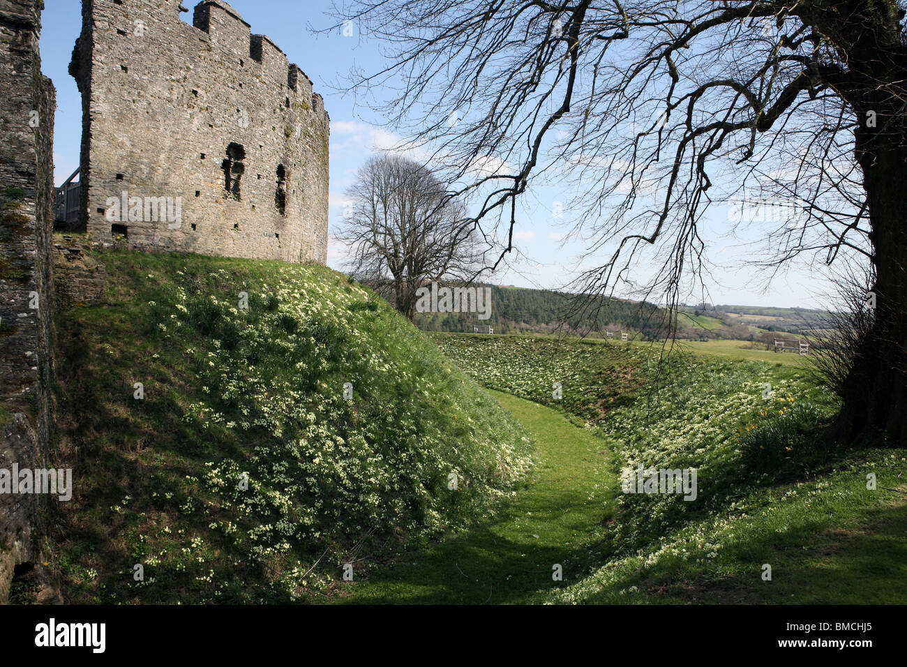 Restormel Castle High Resolution Stock Photography and Images - Alamy