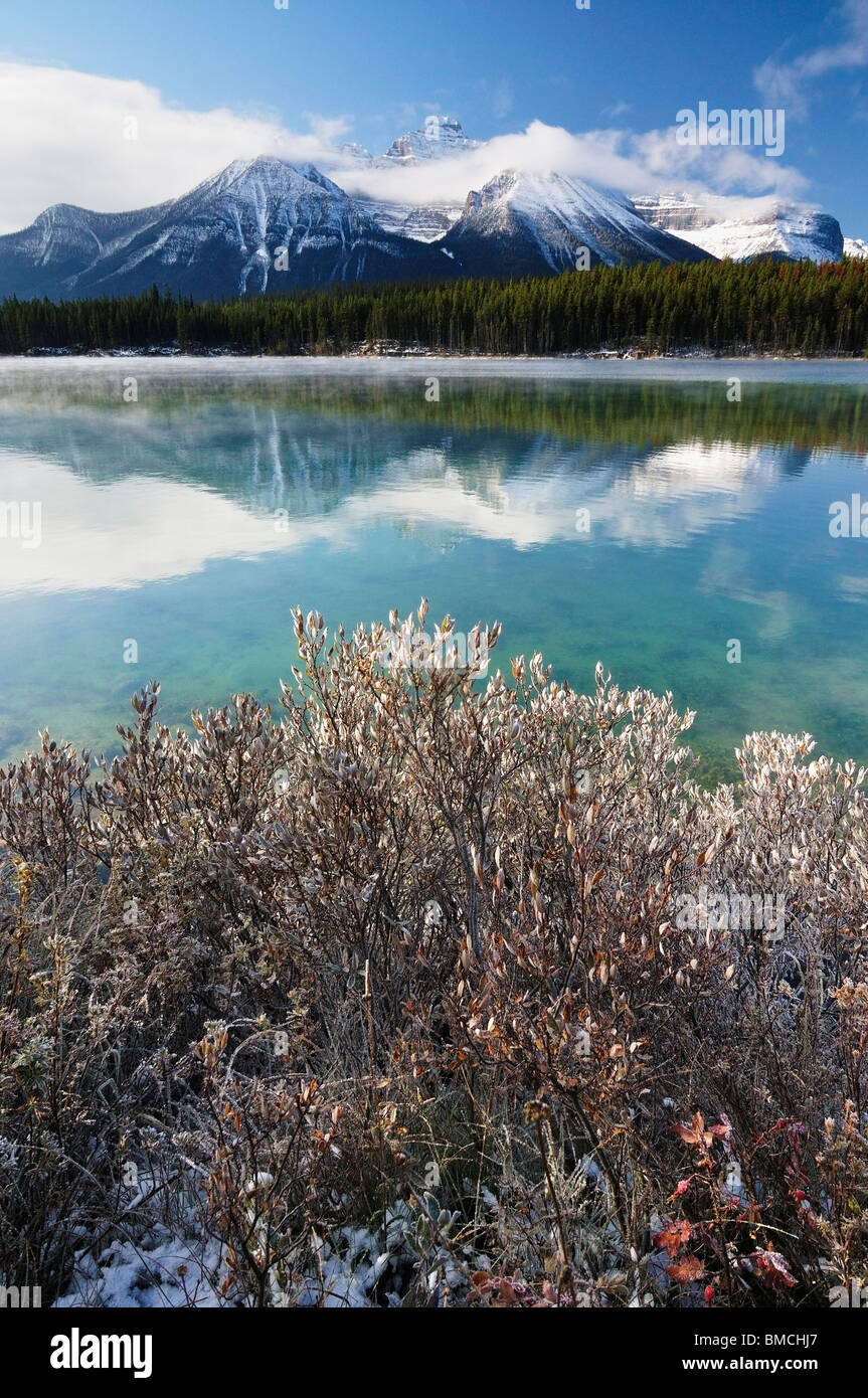 Herbert Lake and Bow Range, Banff National Park, Alberta, Canada Stock ...