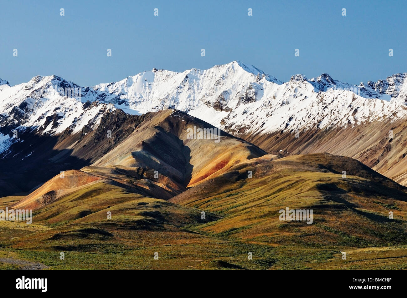 Mt denali alaskan range hi-res stock photography and images - Alamy
