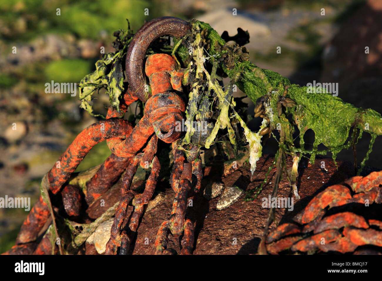 Chain bay hi-res stock photography and images - Alamy