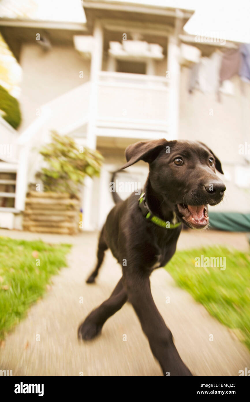 Panning angle hi-res stock photography and images - Alamy