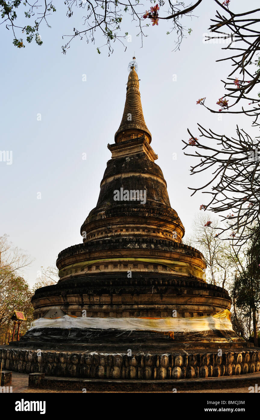 Wat umong suan puthatham hi-res stock photography and images - Alamy