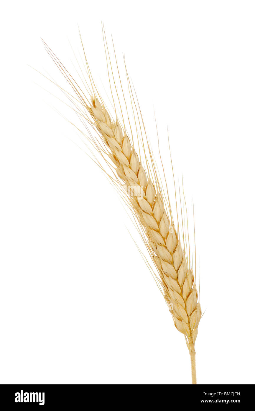 Inside interior close up agriculture agricultural hi-res stock ...