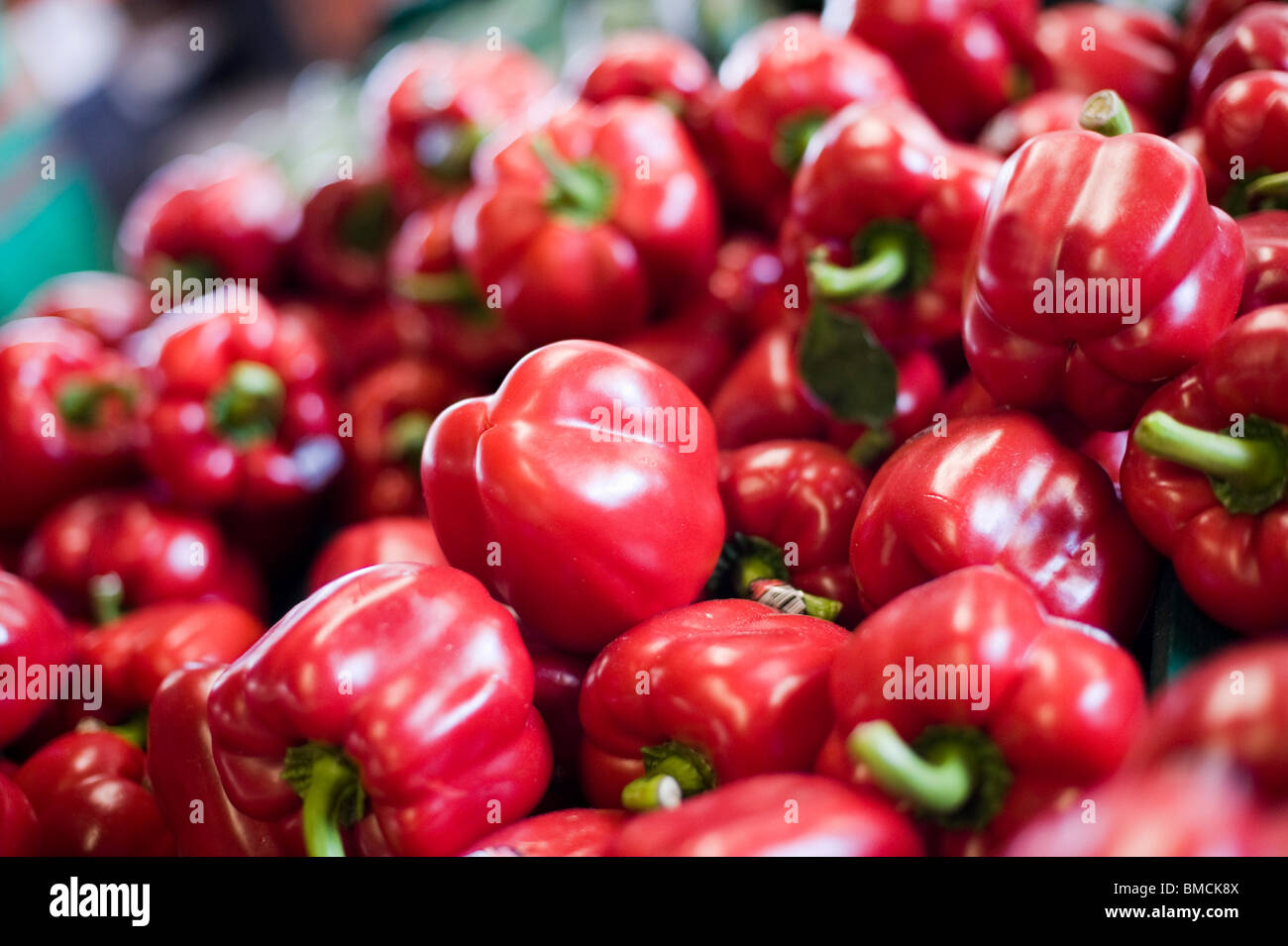 Grove Peppers Florida Pictures