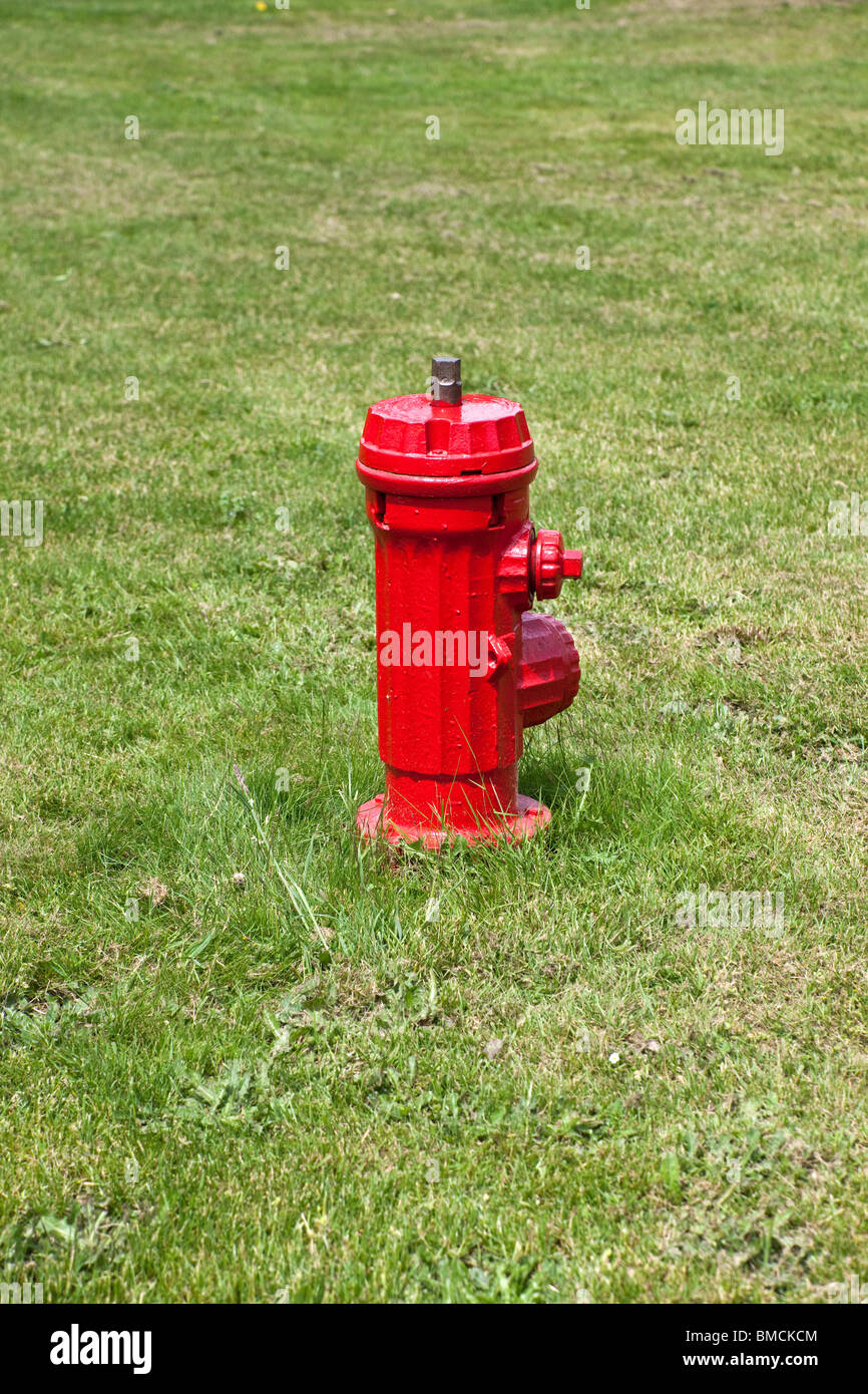 Fire Hydrant on green lawn Stock Photo - Alamy