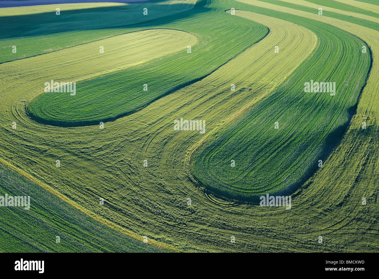 Fields, Palouse Region, Palouse, Whitman County, Washington State, USA ...